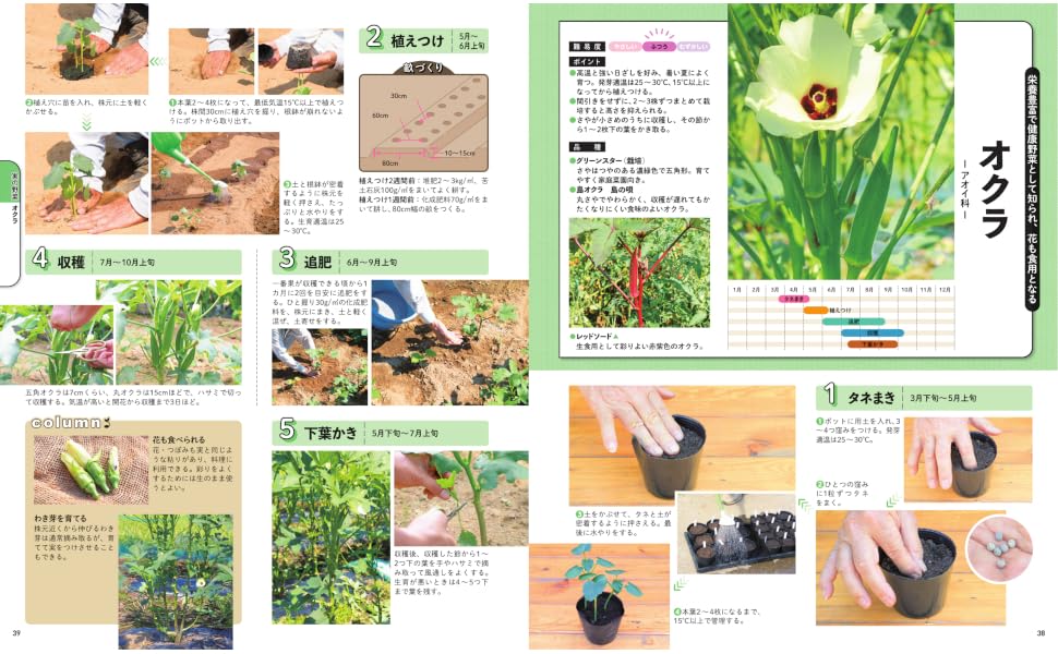 楽天ブックス: はじめての野菜づくり大図鑑131種 - 北条雅章 - 9784405085732 : 本