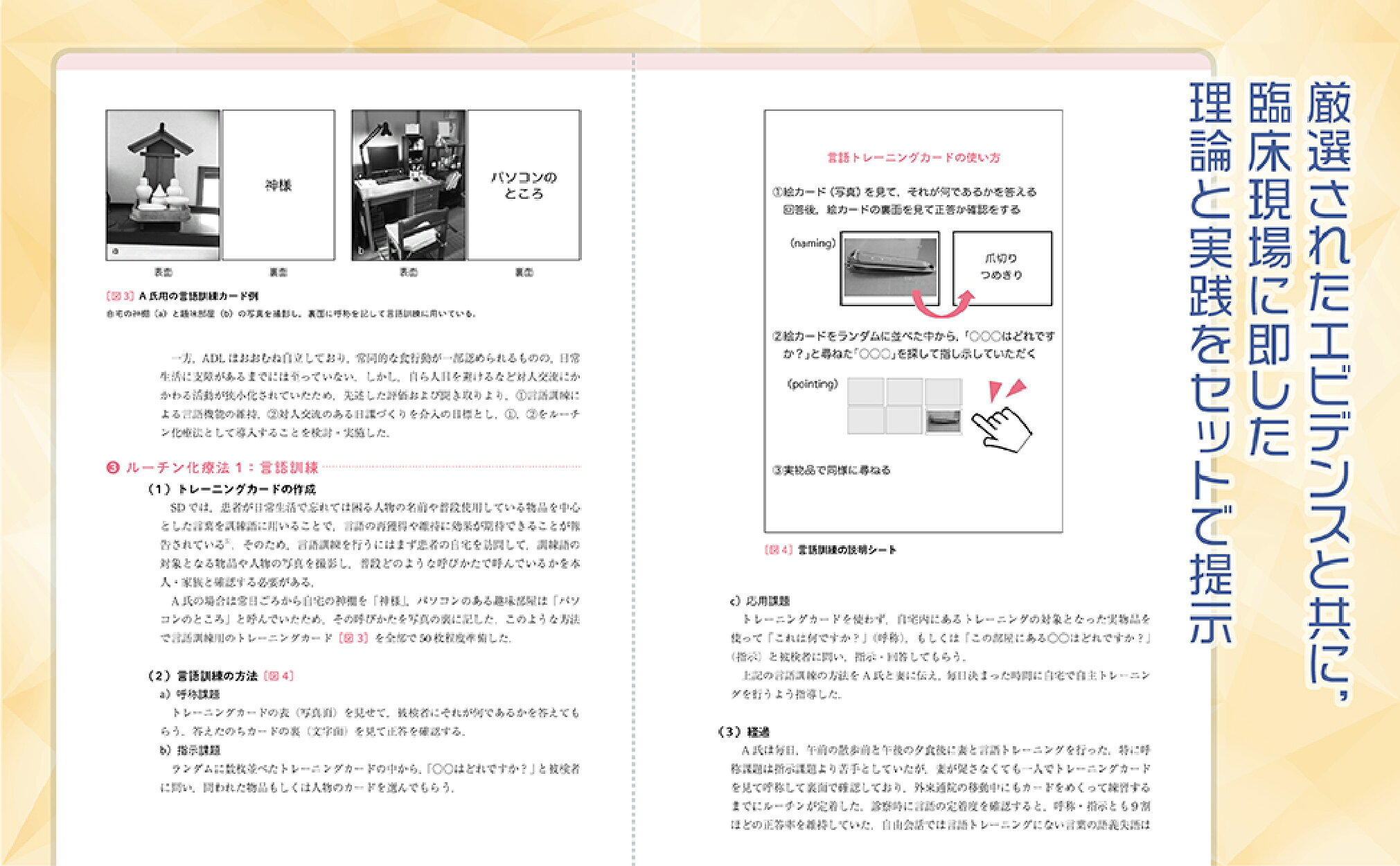 楽天ブックス: Evidence Based で考える認知症リハビリテーション2 BPSDの評価と介入戦略[Web動画付] - 田平 隆行 - 9784260056694 : 本
