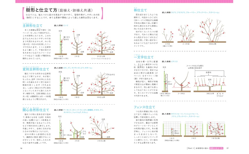 楽天ブックス: 庭でも鉢でも育てられる 果樹の育て方 - 三輪 正幸 - 9784405085725 : 本